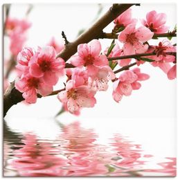 Artland Leinwandbild &raquo;Pfirsichbl&uuml;ten reflektieren im Wasser&laquo; Blumen 1 Stk. tlg. auf Holzrahmen gespannt pink Leinwand B/H/T: 40cm x 40cm, Leinwandbild Blumen 