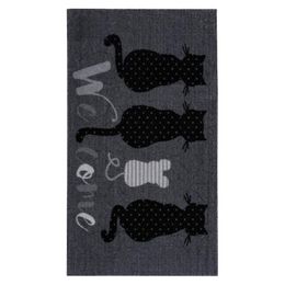 Kayoom Fu&szlig;matte &raquo;Cosy Entry 425&laquo; rechteckig 6 mm H&ouml;he T&uuml;rmatte, Schmutzfang, Katzen, Eingang Polyamid B : 45cm 1 Stk., 6mm, L: 75cm