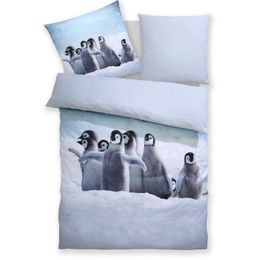 OTTO home Bettw&auml;sche &raquo;Lyki&laquo; 2 ab Gr&ouml;&szlig;e 135x200 cm, 100% Polyester, Katze, Pferd, L&ouml;we, Pinguin bunt Microfaser, Obermaterial: 100% Polyester B/L: 