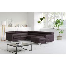 COTTA Wohnlandschaft &raquo;Sammy U-Form, B: 304 cm&laquo; Kopfteilverstellung, optional Schlaffunktion & Bettkasten braun NaturLEDER , die R&uuml;ckseite ist mit 