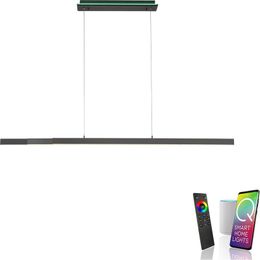 Neuhaus Q SMART HOME LIGHTS LED Pendelleuchte &raquo;Q-ARIAN&laquo; LED-Board 1 Stk. warmwei&szlig; - kaltwei&szlig; schwarz 3, 1 Stk.