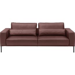 Musterring 3-Sitzer &raquo;JustB!PM100, 242 cm breit, aus hochwertigem Leder&laquo; XL-Sofa, wahlweise mit Nierenkissen und mot. Sitzauszug, Fu&szlig; schwarz braun 100% Leder B/H