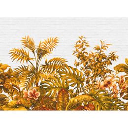 Livingwalls living walls Fototapete &raquo;Designwalls Tropical Wall 2&laquo; glatt Vlies, Wand, Schr&auml;ge, Decke orange Vlies B/L: 3,5m x 2,55m
