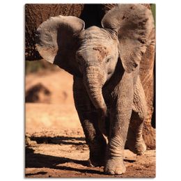 Artland Leinwandbild &raquo;Elefantenbaby&laquo; Wildtiere 1 Stk. tlg. auf Holzrahmen gespannt braun Leinwand B/H/T: 45cm x 60cm, Leinwandbild Wildtiere Hochformat, 1 Stk