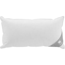 Musterring 3-Kammer-Kopfkissen &raquo;Dreamz&laquo; F&uuml;llung: Aussenkammermit90DaunenundInnekammermit100Federn 1 Stk. tlg. in den Gr&ouml;&szlig;en 40 x 80 cm und 80 x 80 cm erh&auml;ltlich.