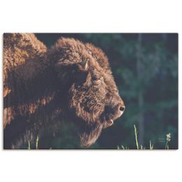 Artland Wandbild &raquo;Bison Meditation&laquo; Wildtiere 1 Stk. tlg. als Alubild, Leinwandbild, Poster, Wandaufkleber in verschied. Gr&ouml;&szlig;en braun Leinwand B/H/T: 120cm x 