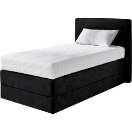 Westfalia Schlafkomfort Boxspringbett wahlweise mit Kaltschaum-Topper schwarz Microvelours (100% Polyester) Microvelours Ohne Topper, Liegefl&auml;che B/L: 90cm x 200cm, Gewicht 