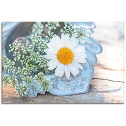 Artland Leinwandbild &raquo;Zarte Margeriten Bl&uuml;te&laquo; Blumen 1 Stk. tlg. auf Holzrahmen gespannt wei&szlig; Leinwand B/H/T: 90cm x 60cm, Leinwandbild Blumen, 1 Stk.