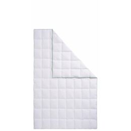 fj&ouml;dur fj&ouml;dur Daunenbettdecke &raquo;Fee, Bettdecke 135x200, 155x220 cm und weitere Gr&ouml;&szlig;en&laquo; leicht F&uuml;llung 80Daunen20Federn 1 Stk. tlg. Hergestellt in Deutschland 