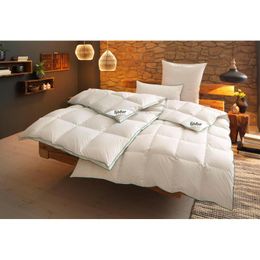 fj&ouml;dur fj&ouml;dur Daunenbettdecke &raquo;Fee, Bettdecke 135x200, 155x220 cm und weitere Gr&ouml;&szlig;en&laquo; leicht F&uuml;llung 80Daunen20Federn 1 Stk. tlg. Hergestellt in Deutschland 