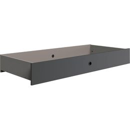 wimex Bettschubkasten &raquo;Bahamas&laquo; Holzwerkstoff B/H/T: 100cm x 16cm x 60cm