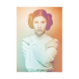 Komar Bild &raquo;Star Wars Classic Icons Color Leia&laquo; Star Wars 1 Stk. tlg. Wandbild zur Dekoration im Kinderzimmer - ohne Rahmen bunt Holz, Papier B/H/T: 30cm x 
