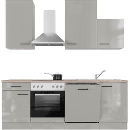 Flex-Well K&uuml;che &raquo;Lund&laquo; wahlweise mit E-Ger&auml;ten, Breite 220 cm, gl&auml;nzende Fronten grau B/H/T: 220cm x 234cm x 60cm, ohne E-Ger&auml;te und ohne Einbausp&uuml;le