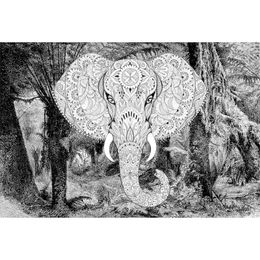 ARCHITECTS PAPER Fototapete &raquo;Atelier 47 Elephant Head 1&laquo; orientalisch glatt Vlies, Wand, Schr&auml;ge, Decke grau Vlies B/L: 4m x 2,7m