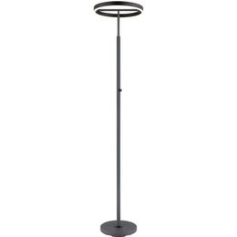 Globo LIGHTING Deckenfluter &raquo;EMANUEL&laquo; LED-Modul 1 Stk. LED Deckenfluter anthrazit, 4000K, Drehdimmer, starkes Licht schwarz 1, &Oslash; 40cm H: 181cm, 1 Stk.