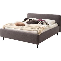 Meise M&ouml;bel meise.m&ouml;bel Polsterbett &raquo;Primo wahlweise mit Bettkasten&laquo; erh&auml;ltlich in verschiedenen Breiten grau Liegefl&auml;che L&auml;nge B: 200cm x 180cm, Stoffbezug ohne 