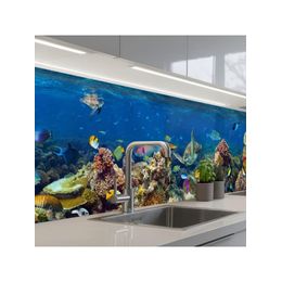 OnlyWow K&uuml;chenr&uuml;ckwand Schildkr&ouml;te | Gr.: 80 x 60 cm