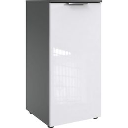 wimex Kommode &raquo;level36 D by fresh to go&laquo; 1-t&uuml;rig mit soft-close Funktion, 41cm breit, 84cm hoch grau Holzwerkstoff B/H/T: 41cm x 84cm x 41cm, 1 Stk.