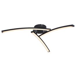 Globo LIGHTING LED Deckenleuchte &raquo;TANSY&laquo; LED-Modul Deckenlampe/Wohnzimmer/Schlafzimmer/modern schwarz &Oslash; 60cm H: 12,5cm
