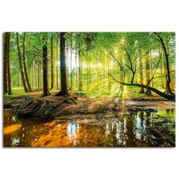 Artland Wandbild &raquo;Wald mit Bach&laquo; Wald 1 Stk. tlg. als Alubild, Leinwandbild, Poster in verschied. Gr&ouml;&szlig;en gr&uuml;n B/H/T: 90cm x 60cm, Leinwandbild Wald Querformat