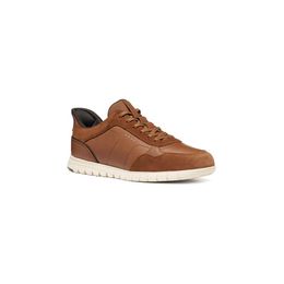 Geox Sneakers Low FLEXTRIDEZERO PLUS MAN in braun | Gr.: 44