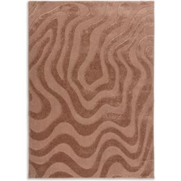 Sch&ouml;ner Wohnen Kollektion SCH&Ouml;NER WOHNEN-Kollektion Teppich &raquo;Blaze 251&laquo; rechteckig 28 mm H&ouml;he Indoor, pflegeleicht, verschiedene Formen, Hoch Tief Struktur Polyester B : 200cm 