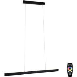 Paulmann LED Pendelleuchte &raquo;Aptare&laquo; LED-Modul 1 Stk. Warmwei&szlig; LED-Modul, dimmbar, 230 V schwarz 2, H: 150cm, 1 Stk.