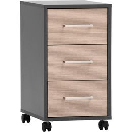 Schildmeyer Rollcontainer &raquo;METZ, 3 Schubk&auml;sten, f&uuml;hlbare Holzstruktur, MADE IN GERMANY&laquo; 1 Stk. tlg. Canello Dekor mit f&uuml;hlbarer Holzstruktur, Made in Germany grau