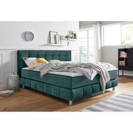 Home Affaire Boxspringbett &raquo;Salo&laquo; incl. Topper, 6 Breiten, 2 H&auml;rtegrade, TFK auch in H&auml;rtegrad 4 blau Struktur (100% Polyester);Bezug der 