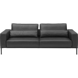 Musterring 3-Sitzer &raquo;JustB!PM100, 222 cm breit, aus hochwertigem Leder&laquo; wahlweise mit Nierenkissen und mot. Sitzauszug, Metallfu&szlig; in schwarz schwarz 100% Leder B