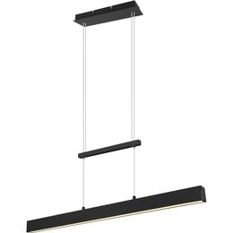 REALITY LEUCHTEN LED Pendelleuchte &raquo;PAROS&laquo; LED-Modul 1 Stk. Warmwei&szlig; &uuml;ber Wandschalter dimmbar, h&ouml;henverstellbar, up and down Beleuchtung schwarz 1, H