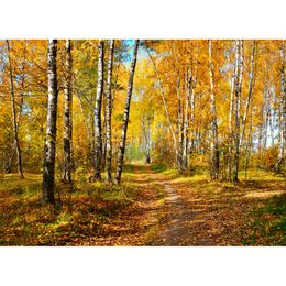 papermoon Fototapete &raquo;Autumn Forest&laquo; glatt bunt Vlies B/L: 1,5m x 1,11m, Bahnen: 7 Stk.