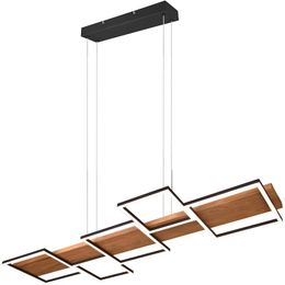 Trio Leuchten LED Pendelleuchte &raquo;Harper&laquo; LED-Board 1 Stk. Warmwei&szlig; H&auml;ngelampe aus Holz und Metall, h&ouml;henverstellbar, LED mit 3 Dimmstufen schwarz 1, H