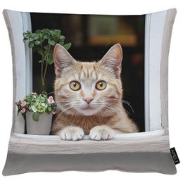 Apelt Dekokissen &raquo;Mimi&laquo; inclusive Soft-Kissenf&uuml;llung 100% PES braun Mischgewebe B/L: 45cm x 45cm, 1 Stk.