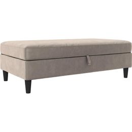 Stauraumhocker &raquo;Hartford&laquo; Polsterhocker mit Stauraum, frei im Raum stellbar, Sitzh&ouml;he 43 cm grau B/H/T: 130cm x 43cm x 69cm, Samtvelours