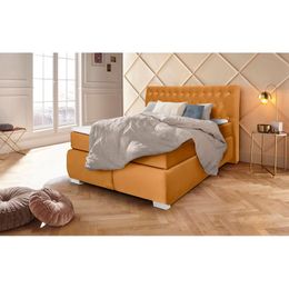 LEONIQUE Boxspringbett &raquo;Rumba&laquo; Taschenfederkern-Matratze in H&auml;rtegrad 3, in 4 Breiten, incl. Topper gold Samtoptik (100% Polyester) Liegefl&auml;che B/L: 140cm x 