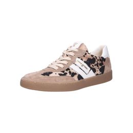 Paul Green Sneaker in beige | Gr.: 40