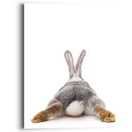 Reinders Wandbild &raquo;Wandbild Kaninchen Rabbit - Hase - Schwanz - Relax&laquo; 1 Stk. tlg. wei&szlig; MDF B/H/T: 40cm x 50cm, 1 Stk.