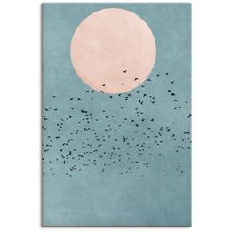 Artland Leinwandbild &raquo;Wegfliegen&laquo; Himmelsbilder 1 Stk. tlg. auf Holzrahmen gespannt grau Leinwand B/H/T: 80cm x 120cm, Leinwandbild Himmelsbilder Hochformat, 