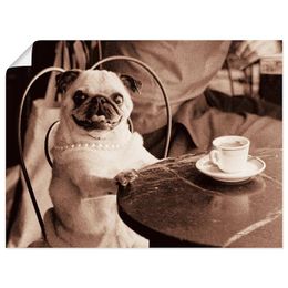 Artland Wandbild &raquo;Kaffee Mops&laquo; Haustiere 1 Stk. tlg. als Leinwandbild, Poster in verschied. Gr&ouml;&szlig;en beige B/H/T: 60cm x 45cm, Poster Haustiere Querformat, 1 