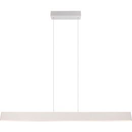 Trio Leuchten LED Pendelleuchte &raquo;GALWAY, 35W LED H&auml;ngelampe 4200 Lumen, CCT Lichtfarbe einstellbar&laquo; LED-Board 1 Stk. Farbwechsler warmwei&szlig; - kaltwei&szlig; 