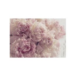 WALLARENA Fototapete Blumen in Rosa | Gr.: 150 x 105 cm