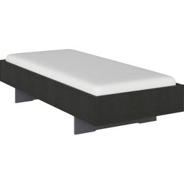 Rauch Futonbett &raquo;Phoenix&laquo; ohne Kopfteil grau Liegefl&auml;che L&auml;nge B: 200cm x 90cm, H&ouml;he Bett: 41cm, ohne Matratze
