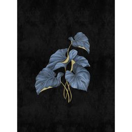 Livingwalls living walls Fototapete &raquo;Walls by Patel Fiji&laquo; glatt Vlies, Wand schwarz Vlies B/L: 2m x 2,7m