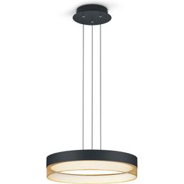 HELL h&ouml;llisch gutes Licht LED Pendelleuchte &raquo;MESH&laquo; LED-Modul 1 Stk. Warmwei&szlig; B-Link Fernbedienung, In der H&ouml;he einstellbar schwarz 1, &Oslash; 45cm, 1 Stk.