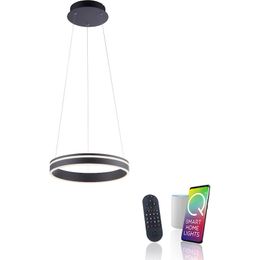 Neuhaus Q SMART HOME LIGHTS LED Pendelleuchte &raquo;Q-VITO&laquo; LED-Board 1 Stk. warmwei&szlig; - kaltwei&szlig; 1, &Oslash; 40cm, 1 Stk.