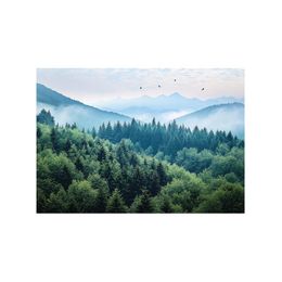 WALLARENA Fototapete Wald in Gr&uuml;n | Gr.: 150 x 105 cm
