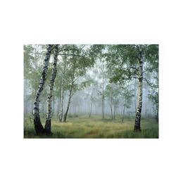 WALLARENA Fototapete Wald in Gr&uuml;n | Gr.: 150 x 105 cm