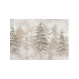 WALLARENA Fototapete Wald in Beige | Gr.: 150 x 105 cm