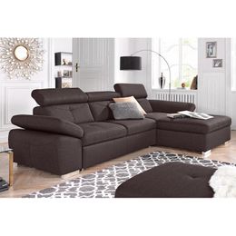 exxpo - sofa fashion Ecksofa &raquo;Spring, super bequem, mit Armteil- und Kopfteilfunktion&laquo; L-Form, wahlweise mit Bettfunktion und Bettkasten braun Luxus-